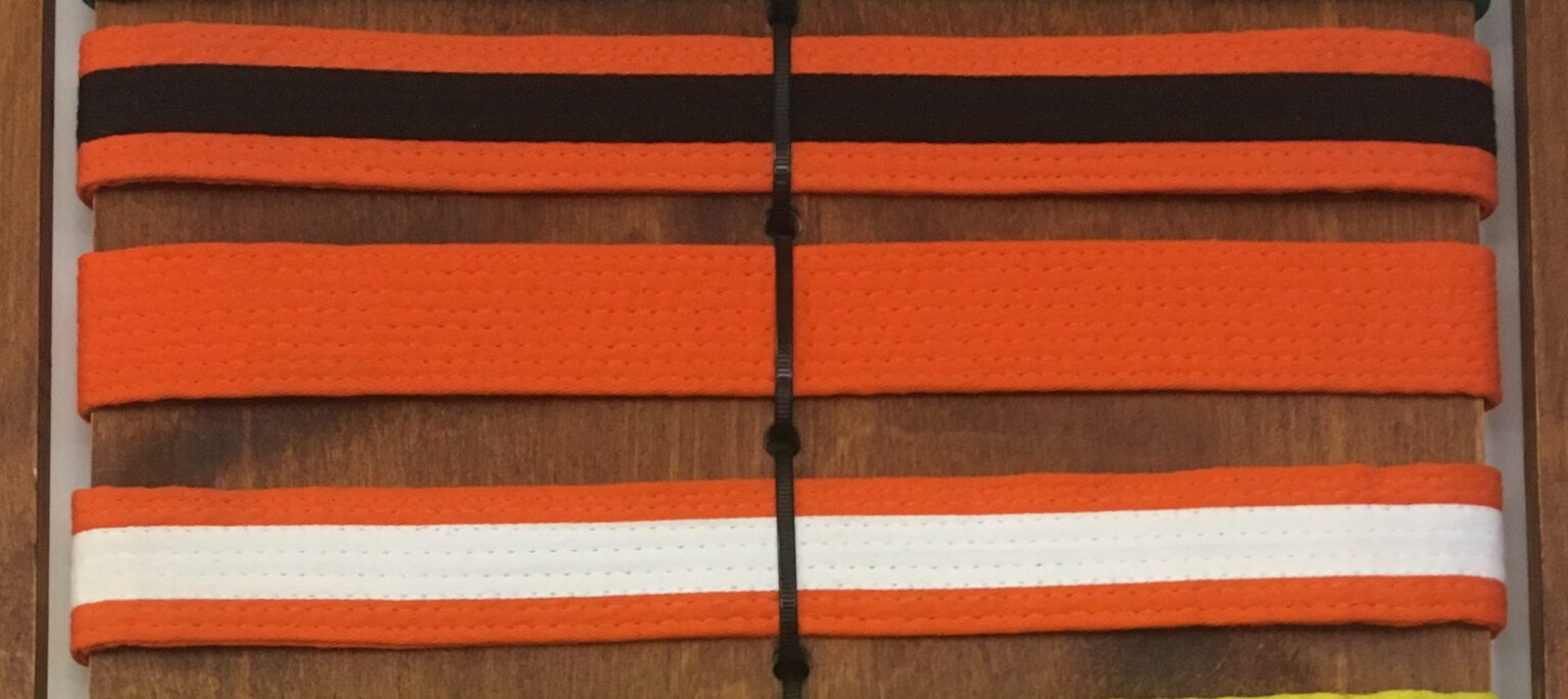 The IBJJF Belt System for Kids - Easton Training Center